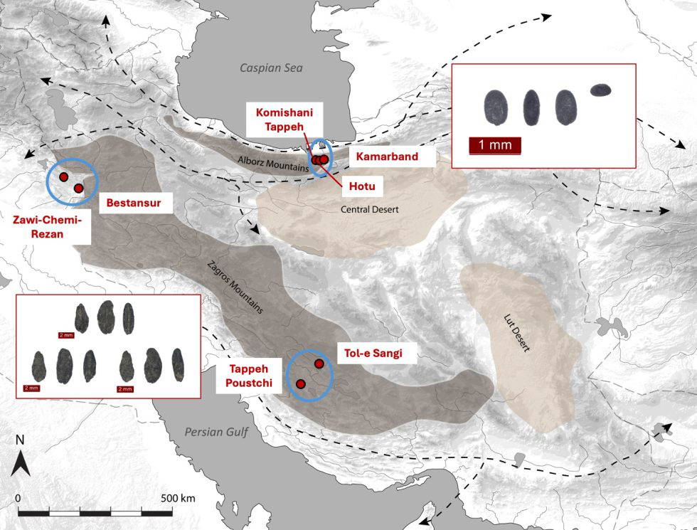 Using early plant remains to understand transmission of farming ...